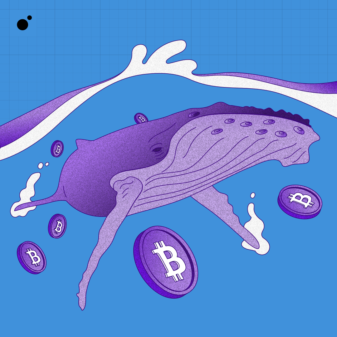 What are crypto whales and how to track them? | MoonPay - MoonPay